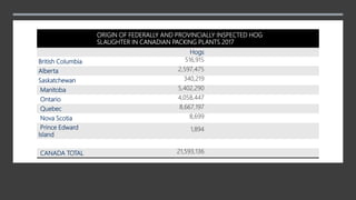 Pigs - Crop Assignment | PPTX