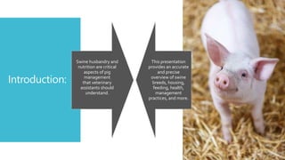 Pigs Project | PPTX