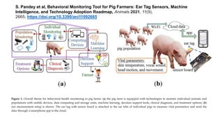 Electronics to Monitor Animal Behavior Remotely | PPT