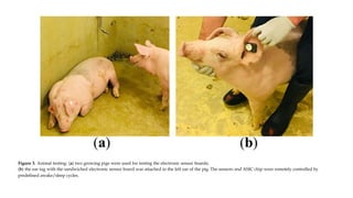 Electronics to Monitor Animal Behavior Remotely | PPTX