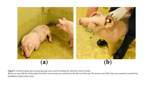 Electronics to Monitor Animal Behavior Remotely | PPT