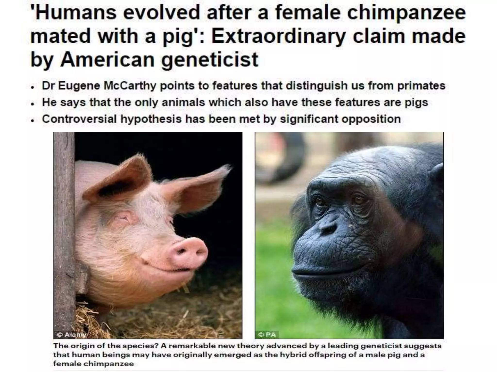 Indian Pigs are genetically modified human beings | PPTX