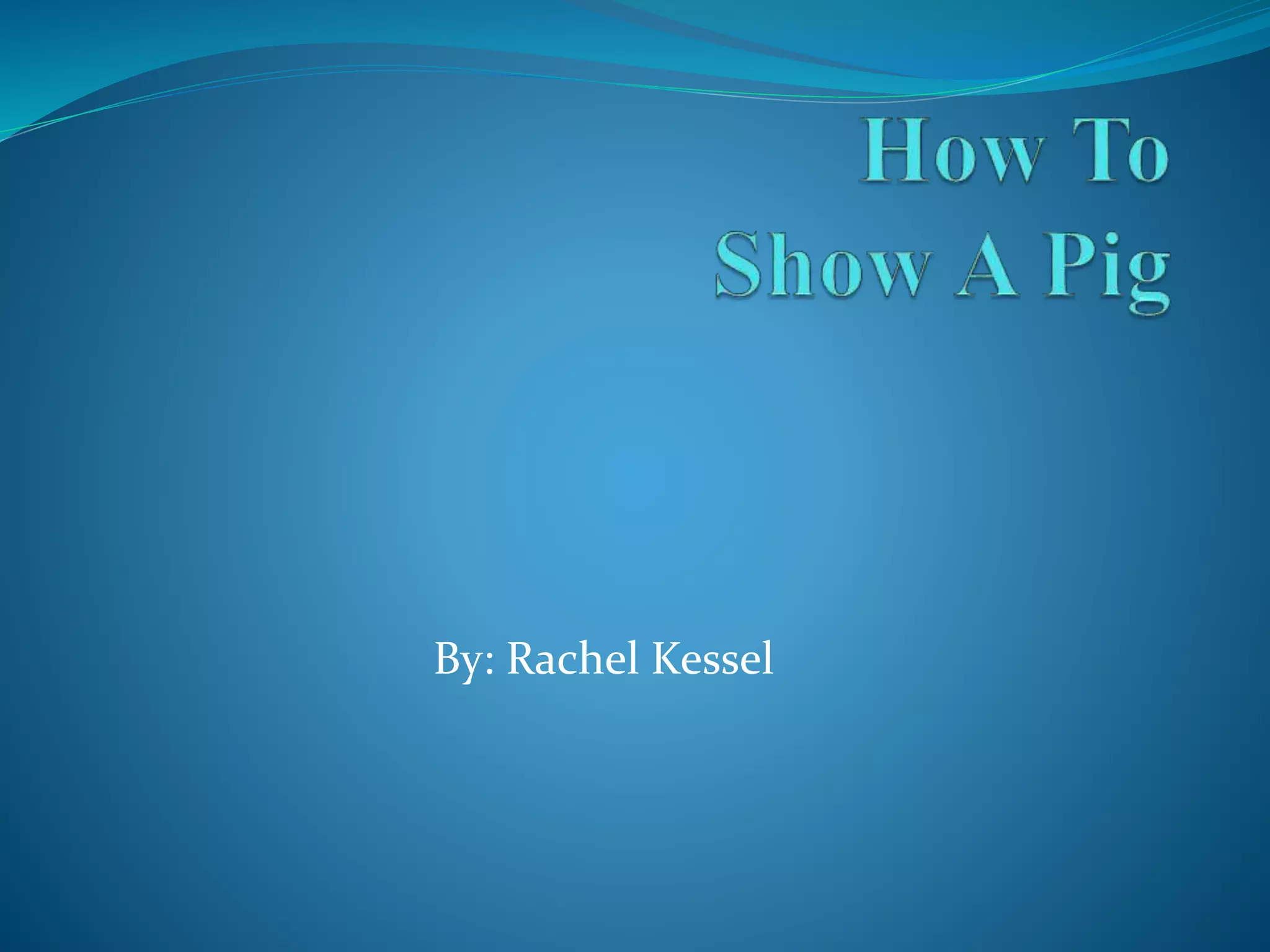 How to Show a Pig | PPTX | Equine Sports | Sports