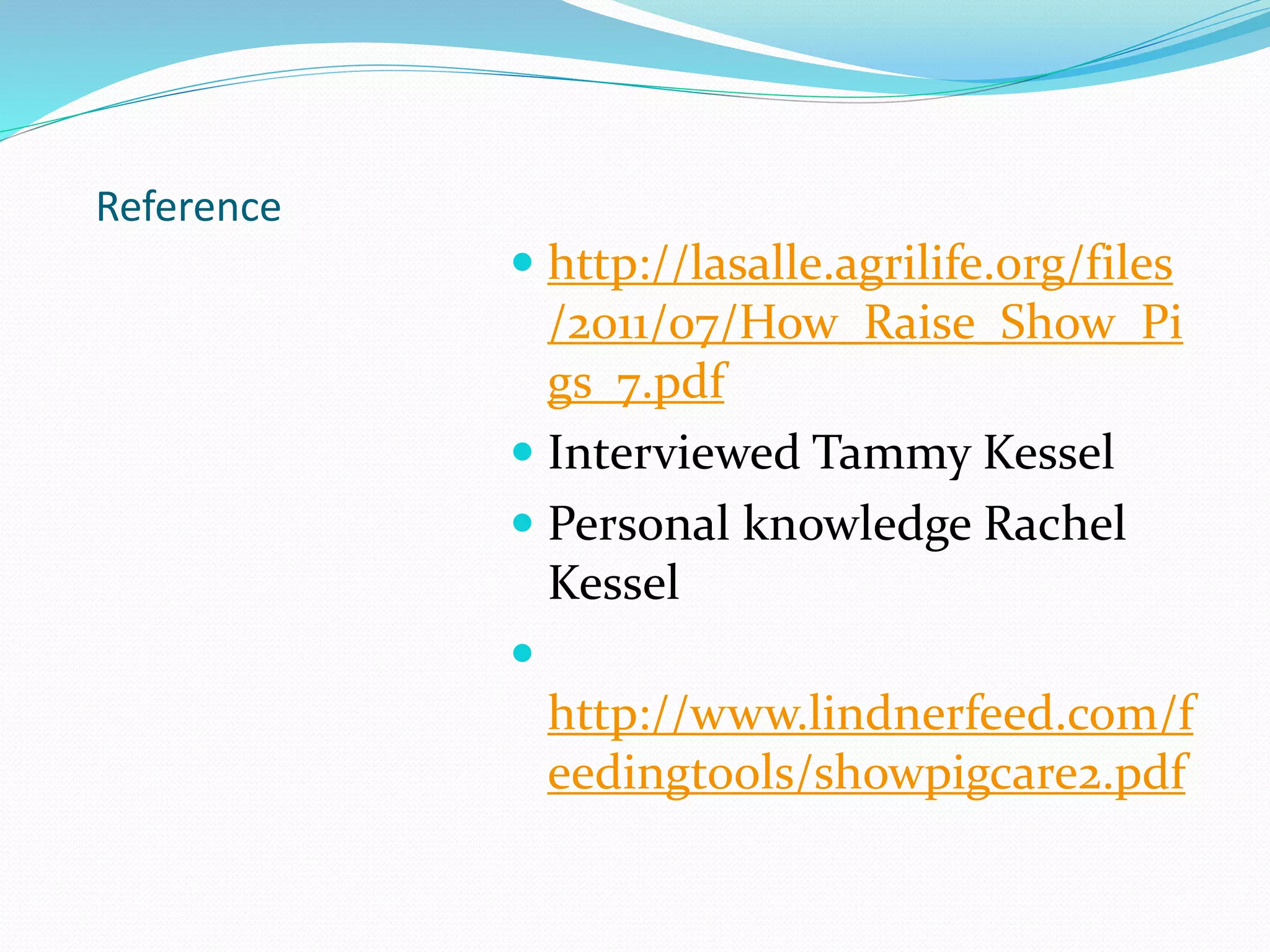 How to Show a Pig | PPTX | Equine Sports | Sports