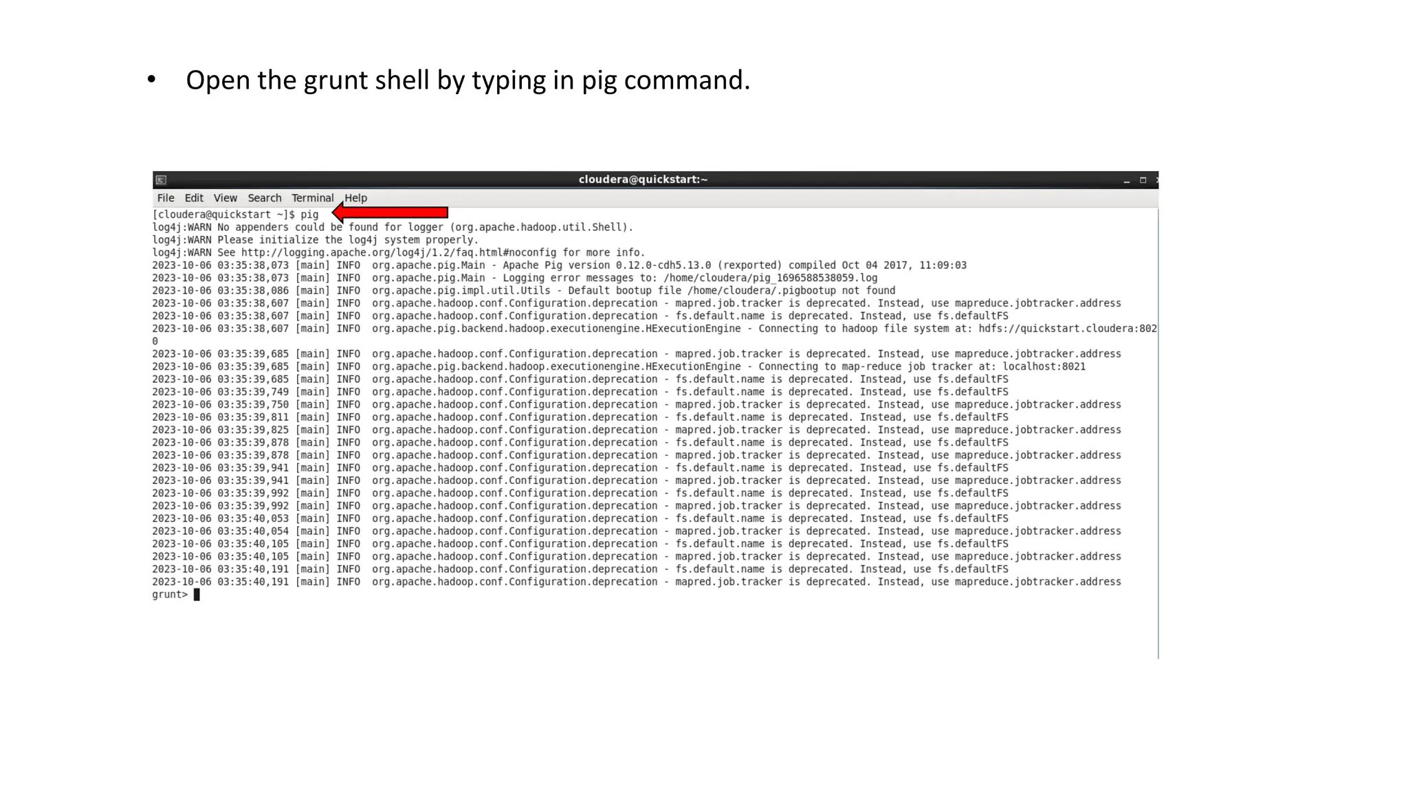 Pig WordCount PPT.pptx