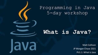Pi j1.1 what-is-java | PPT