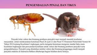 Prinsip pengendalian Pijal dan Tikus | PPTX