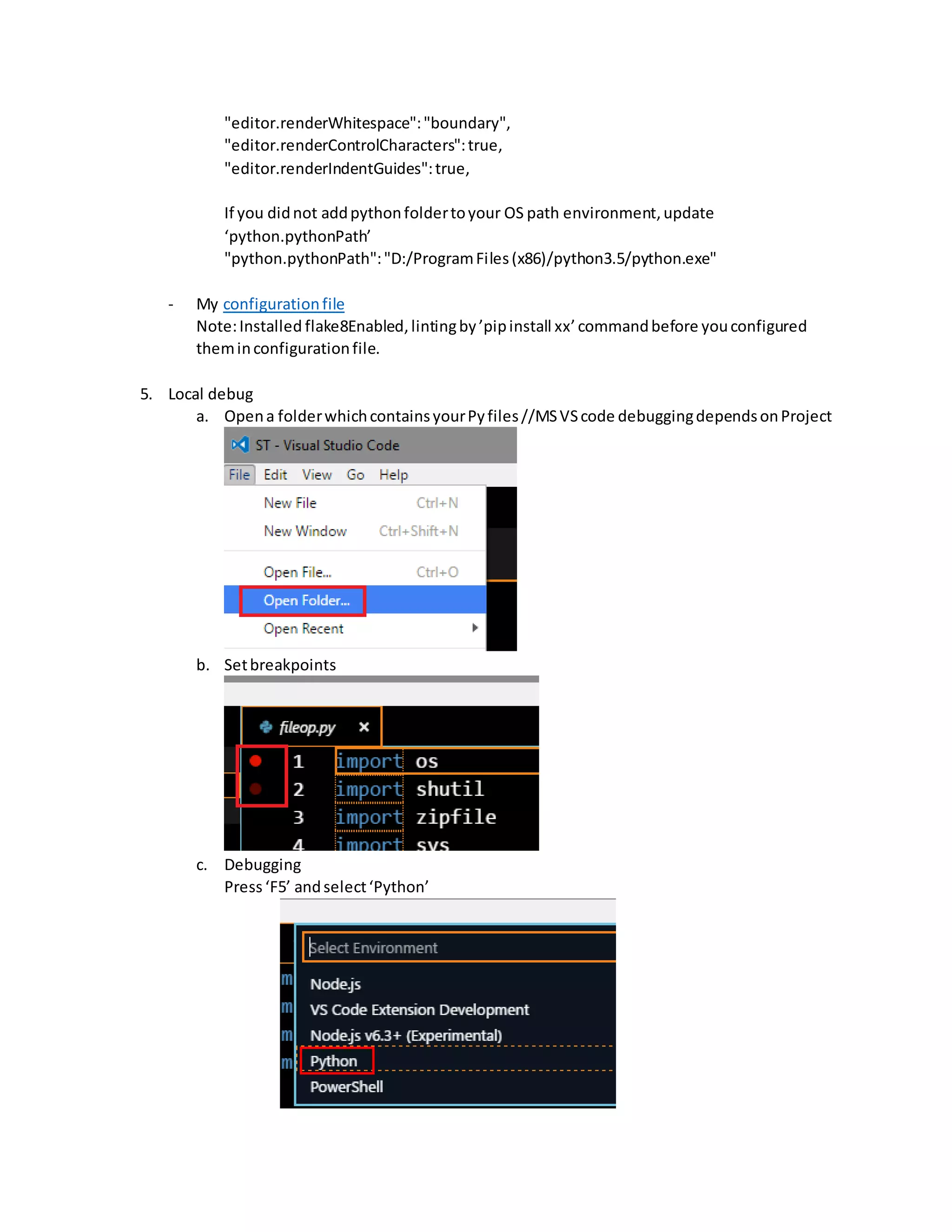 MS VS Code for Python debug | DOCX