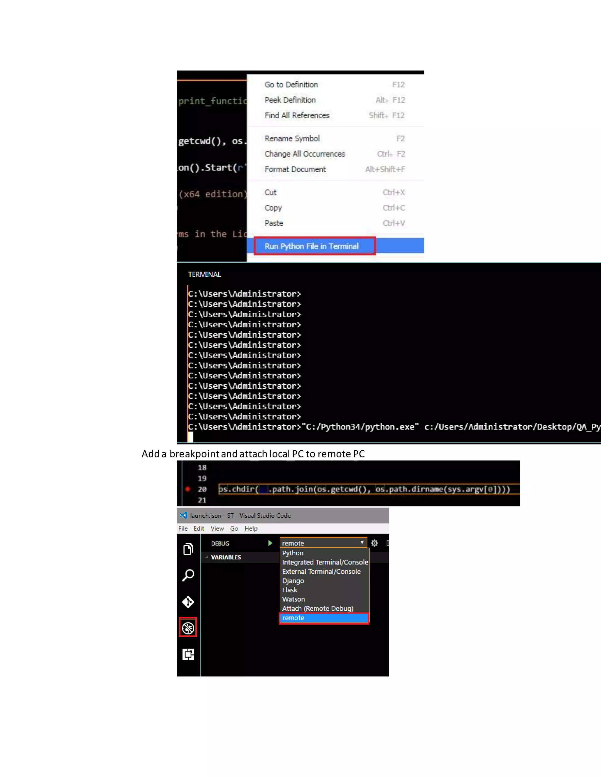 MS VS Code for Python debug | PDF
