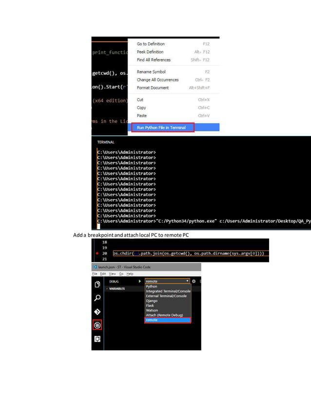 MS VS Code for Python debug | PDF