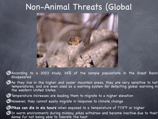 Pika powerpoint ___d_a_n | KEY