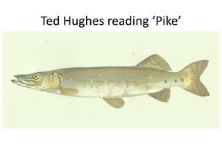 Pike -guided_annotation | PPTX