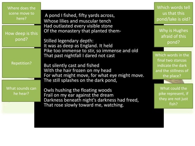 Pike -guided_annotation | PPT