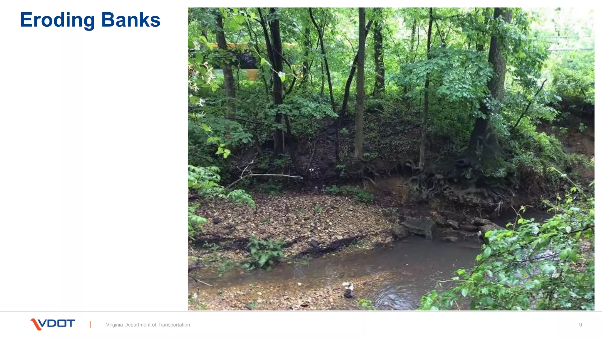 Pikes Branch Stream Restoration | PPTX