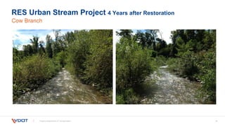 Pikes Branch Stream Restoration | PPTX