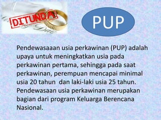 Pendewasaan Usia Perkawinan (PUP) | PPSX