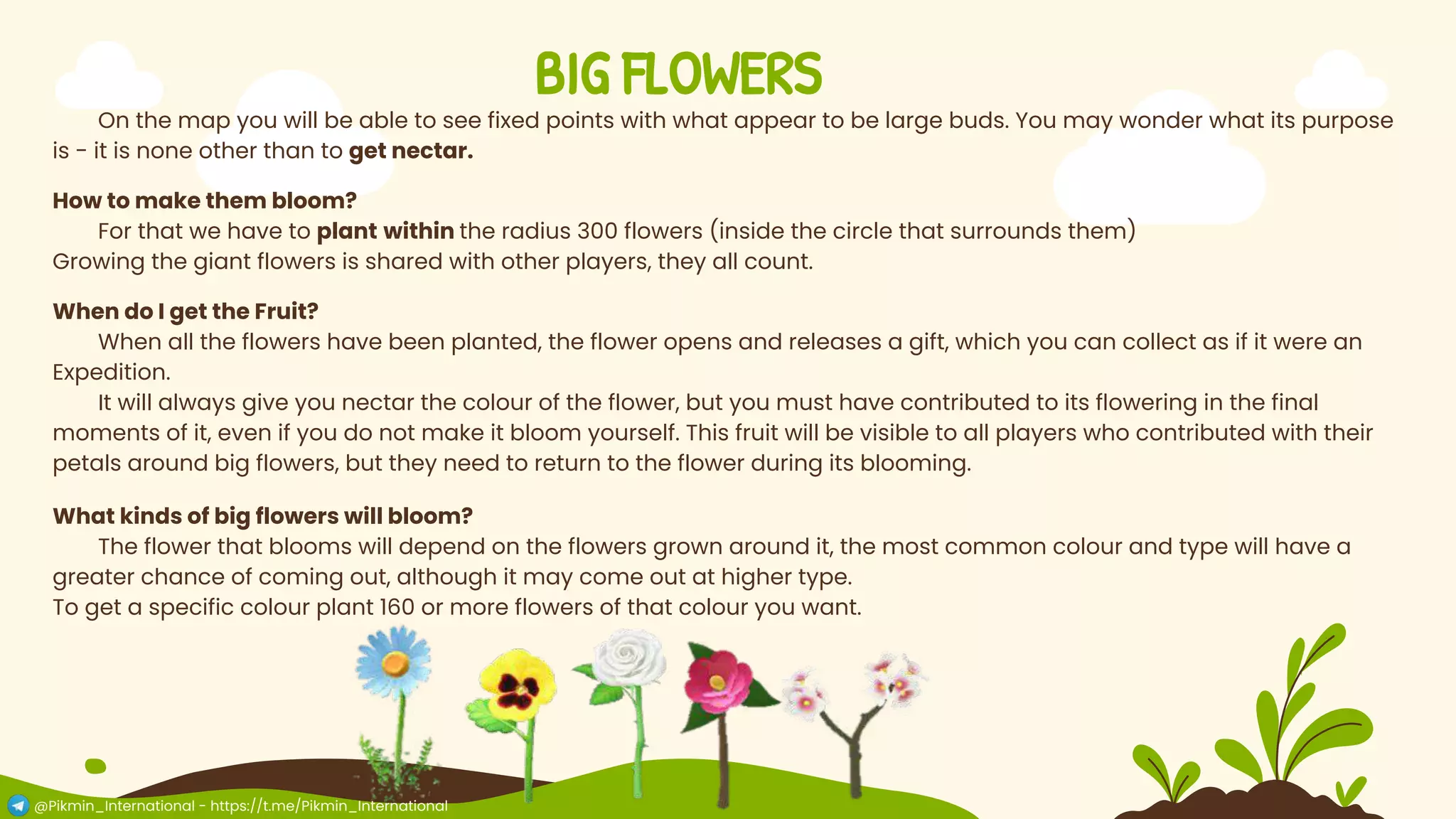 Pikmin Boom Guide English (19 nov) | PDF