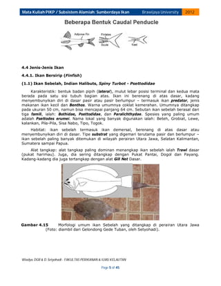 Pikp modul5&6-jenis ikan | PDF