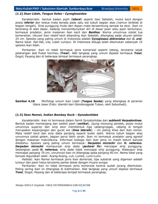 Pikp modul5&6-jenis ikan | PDF