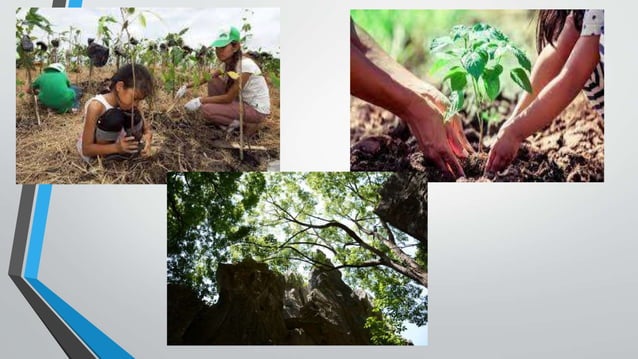 PIKTORYAL NA SANAYSAY.pptx