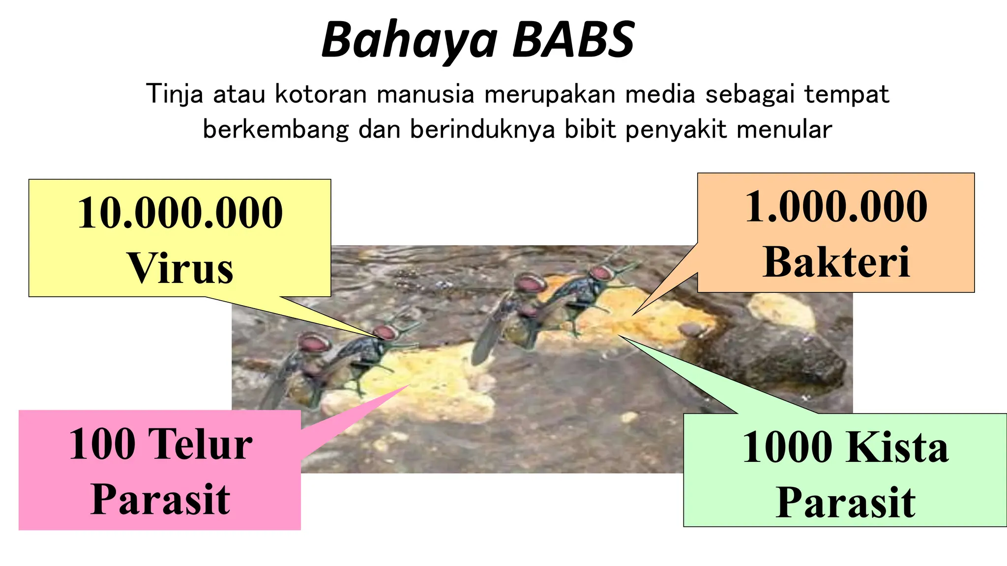 Pilar 1 Stop BABS.pptx