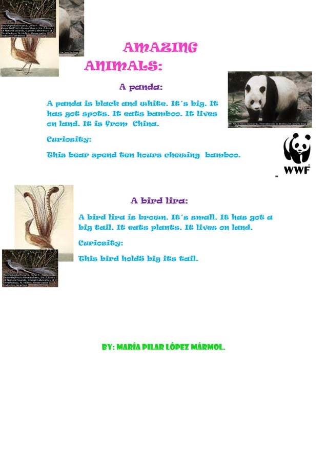 Pilar amazing animal | ODT | Large Animals | Pets