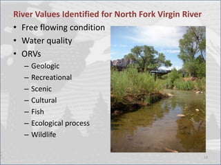 Understanding and Managing Visitor Use on the Virgin River, Utah ...