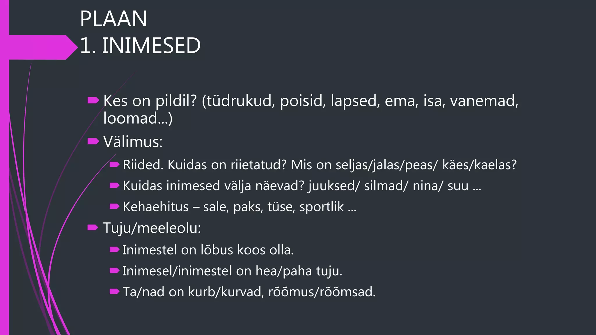 Pildi kirjeldamine.plaan | PPTX