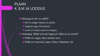 Pildi kirjeldamine.plaan | PPTX