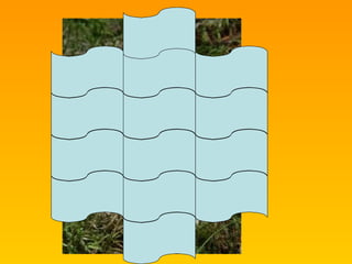 PildimaNg Puravik | PPT