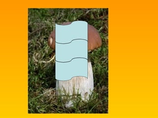 PildimaNg Puravik | PPT