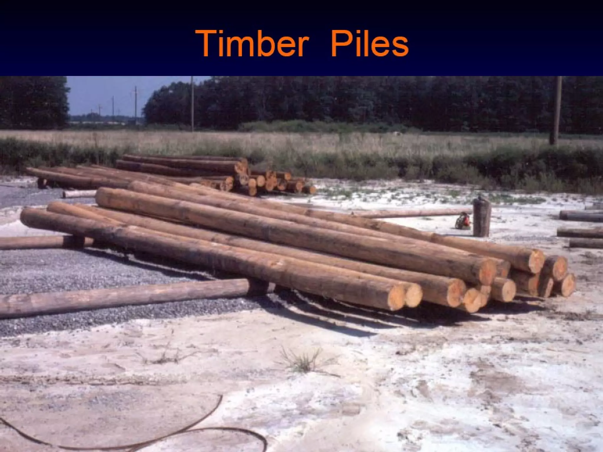 Piles types presentation | PPT