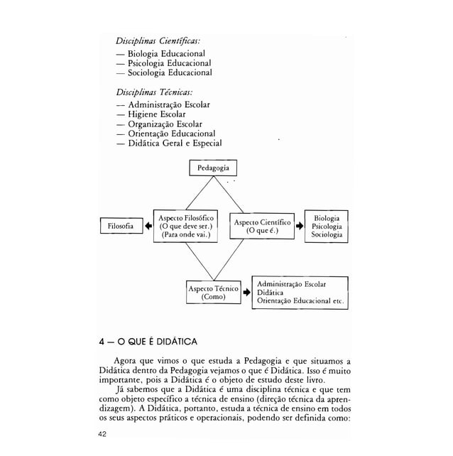 Piletti didatica geral | PDF