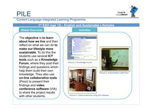 Pile presentation March 2014 | PPT