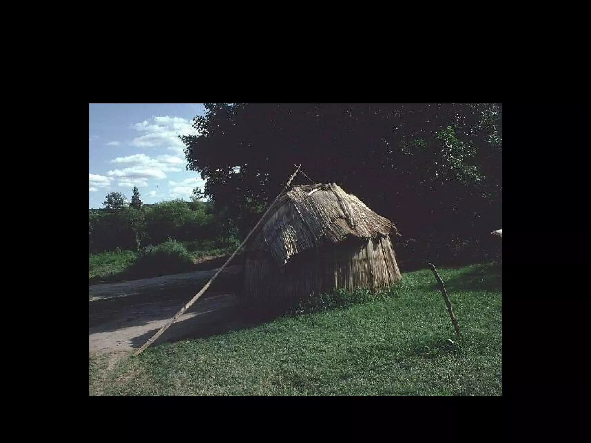 Pilgrims And Indians Homes | PPT