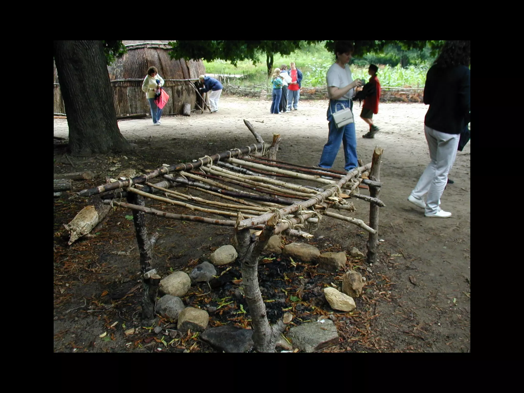 Pilgrims And Indians Homes | PPT