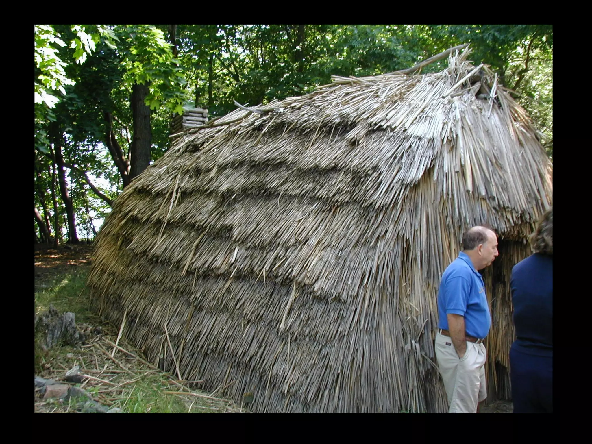 Pilgrims And Indians Homes | PPT