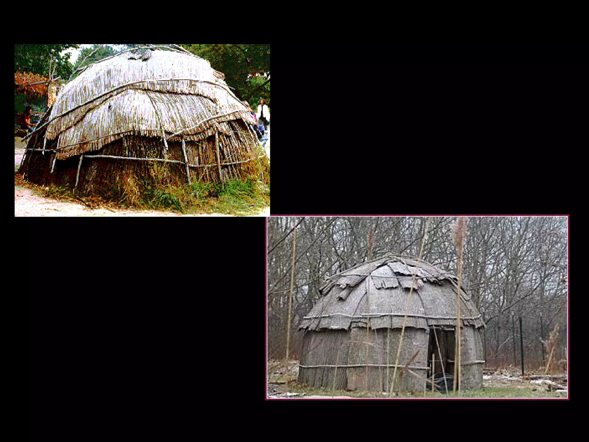 Pilgrims And Indians Homes | PPT