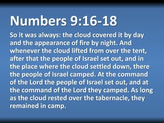 Pilgrim’s creed | PPTX