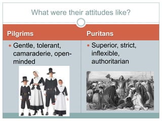 Pilgrims vs Puritans | PPTX