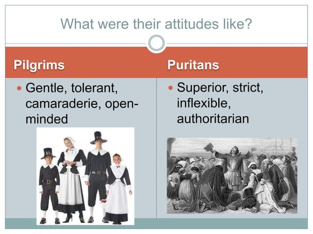 Pilgrims vs Puritans | PPTX | Christianity | Religion & Spirituality