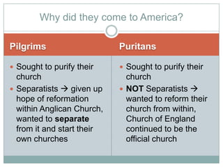 Pilgrims vs Puritans | PPT