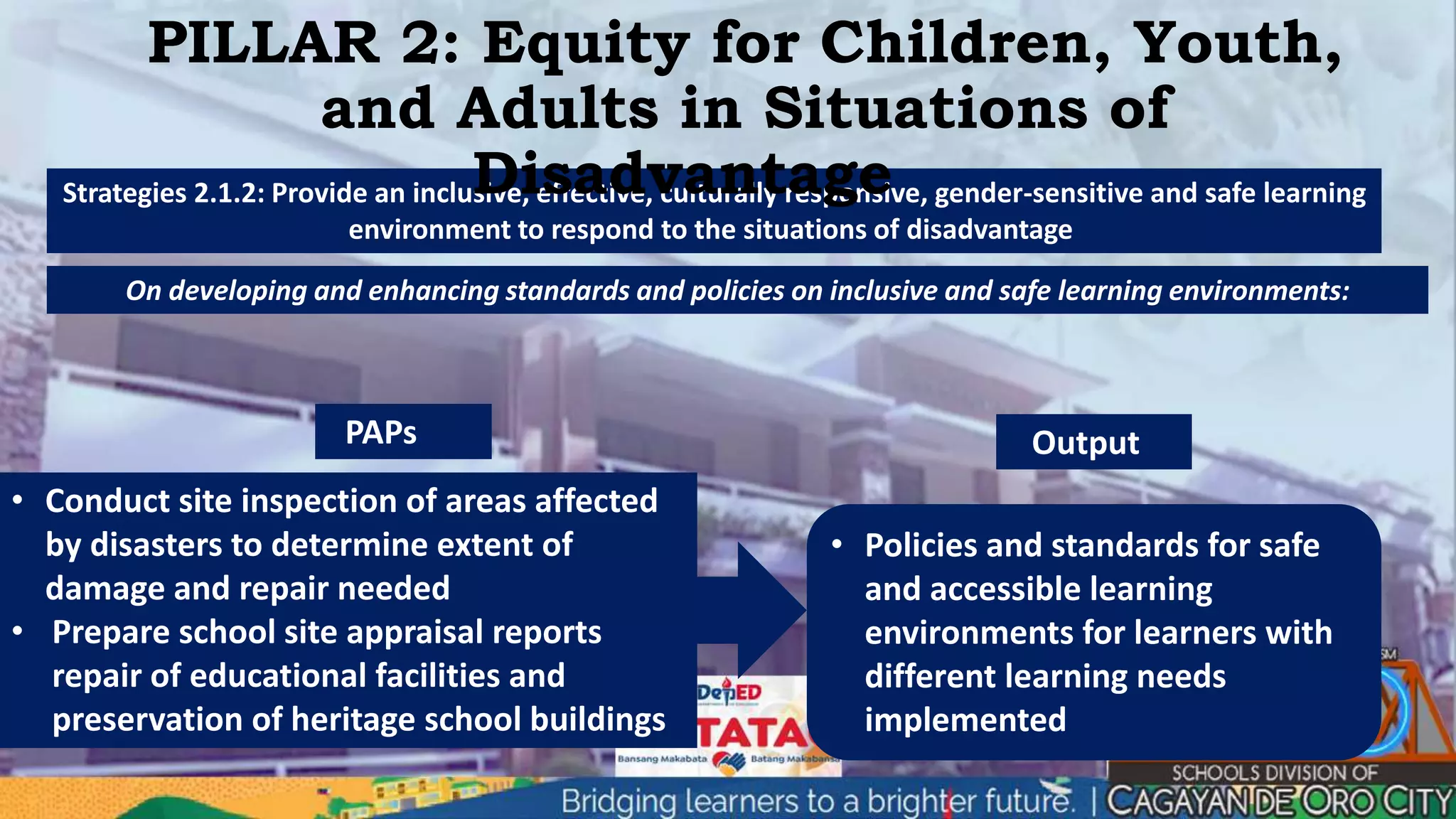 Pillar 2 EQUITY.pptx