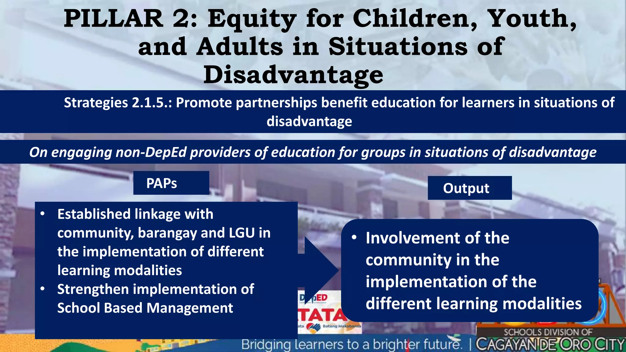 Pillar 2 EQUITY.pptx
