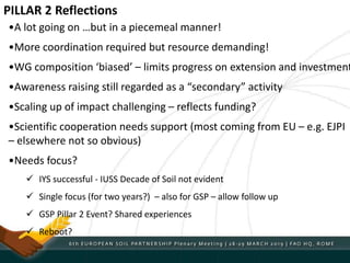 ESP work progress on Pillar 2 | PPT