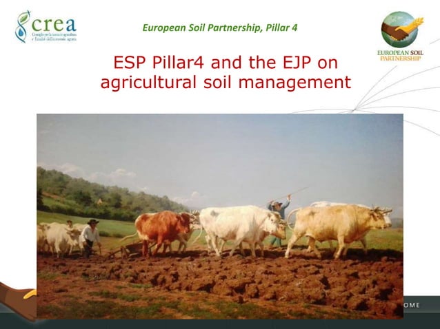 ESP work progress on Pillar 4 | PPTX