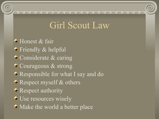 Pillars Of Society Shared Values | PPT