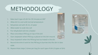 Pillbug Science Experiment Slides Presentation | PPTX