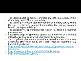 Pilobolus | PPTX