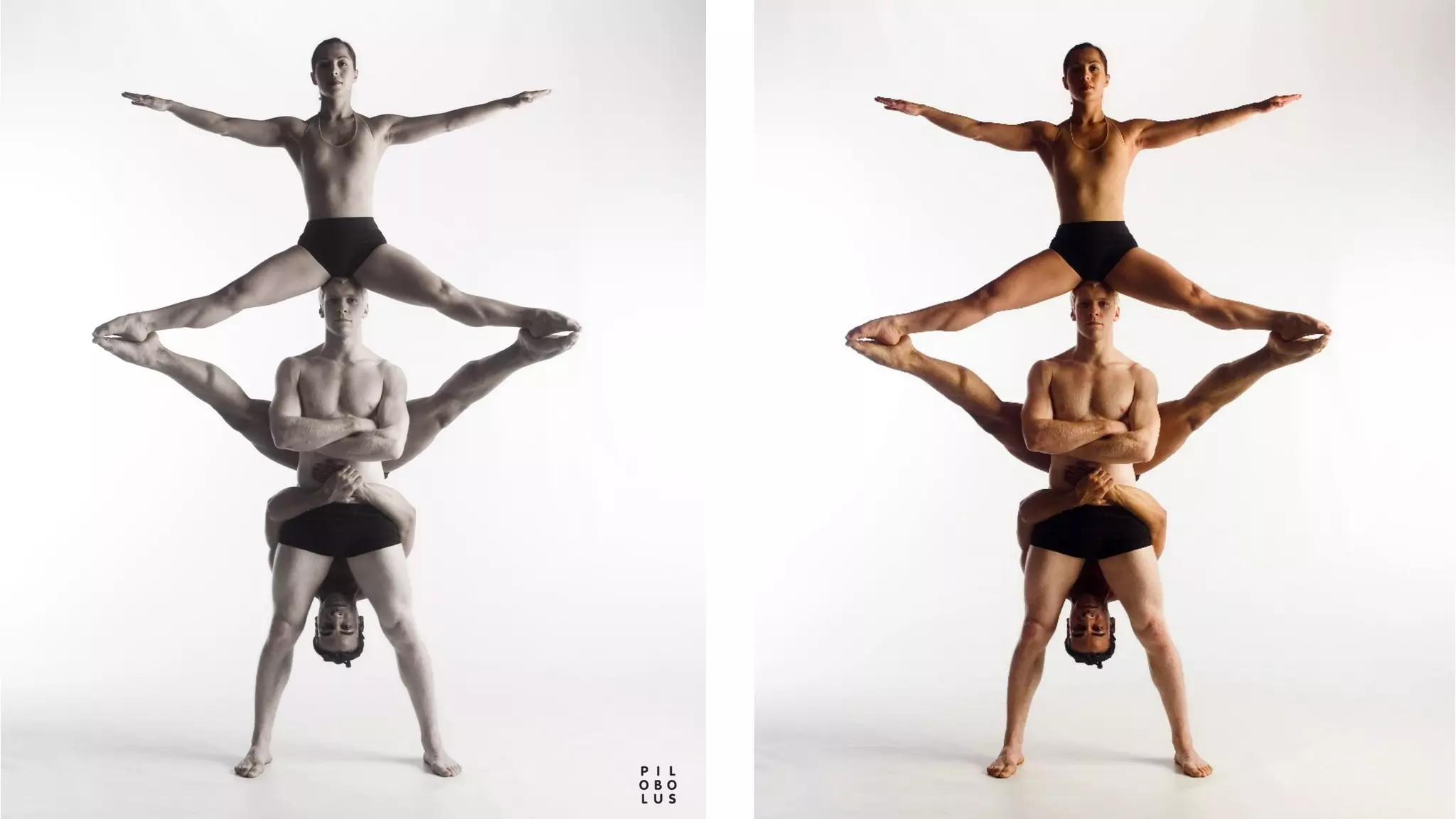 Pilobolus Dance Theater | PPS